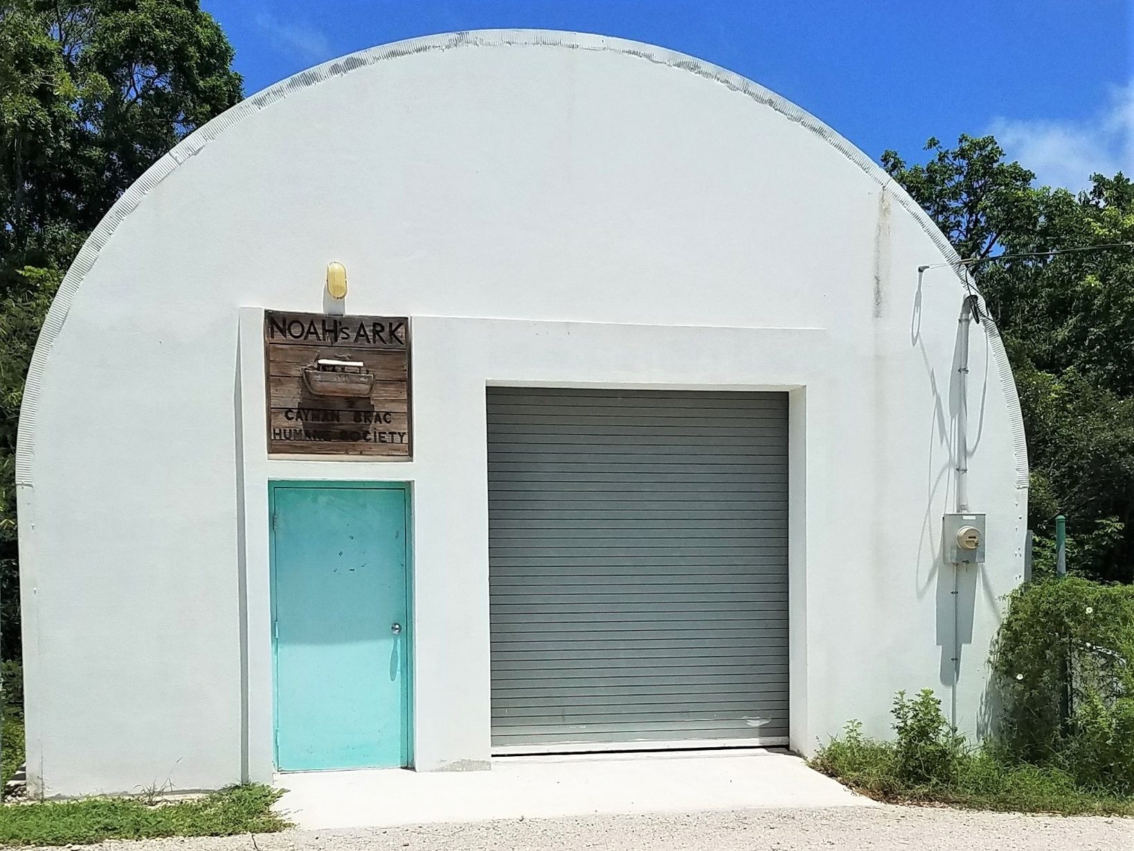 Overview - Cayman Islands Humane Society